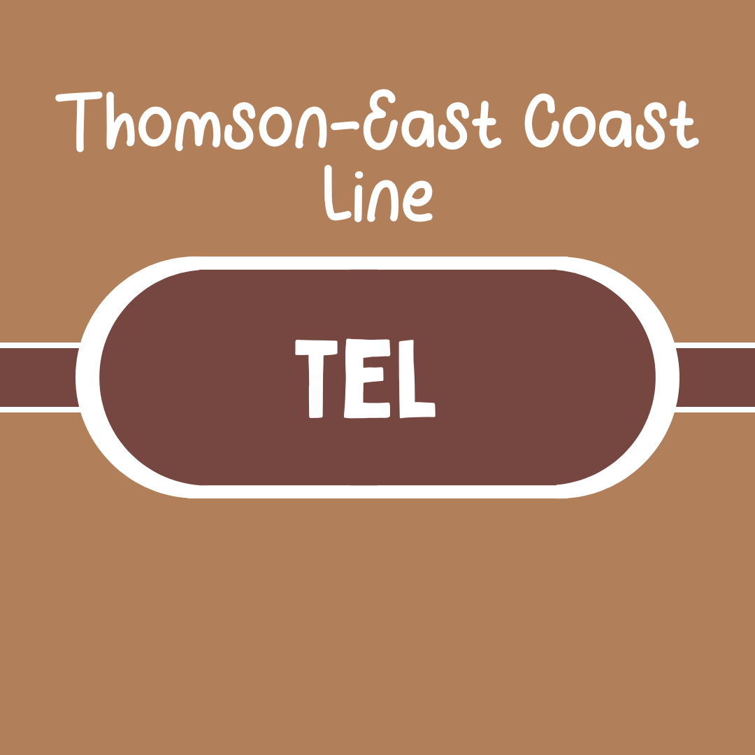 Thomson-East Coast (Brown Line) MRT Keychain | Tap Space Singapore ...