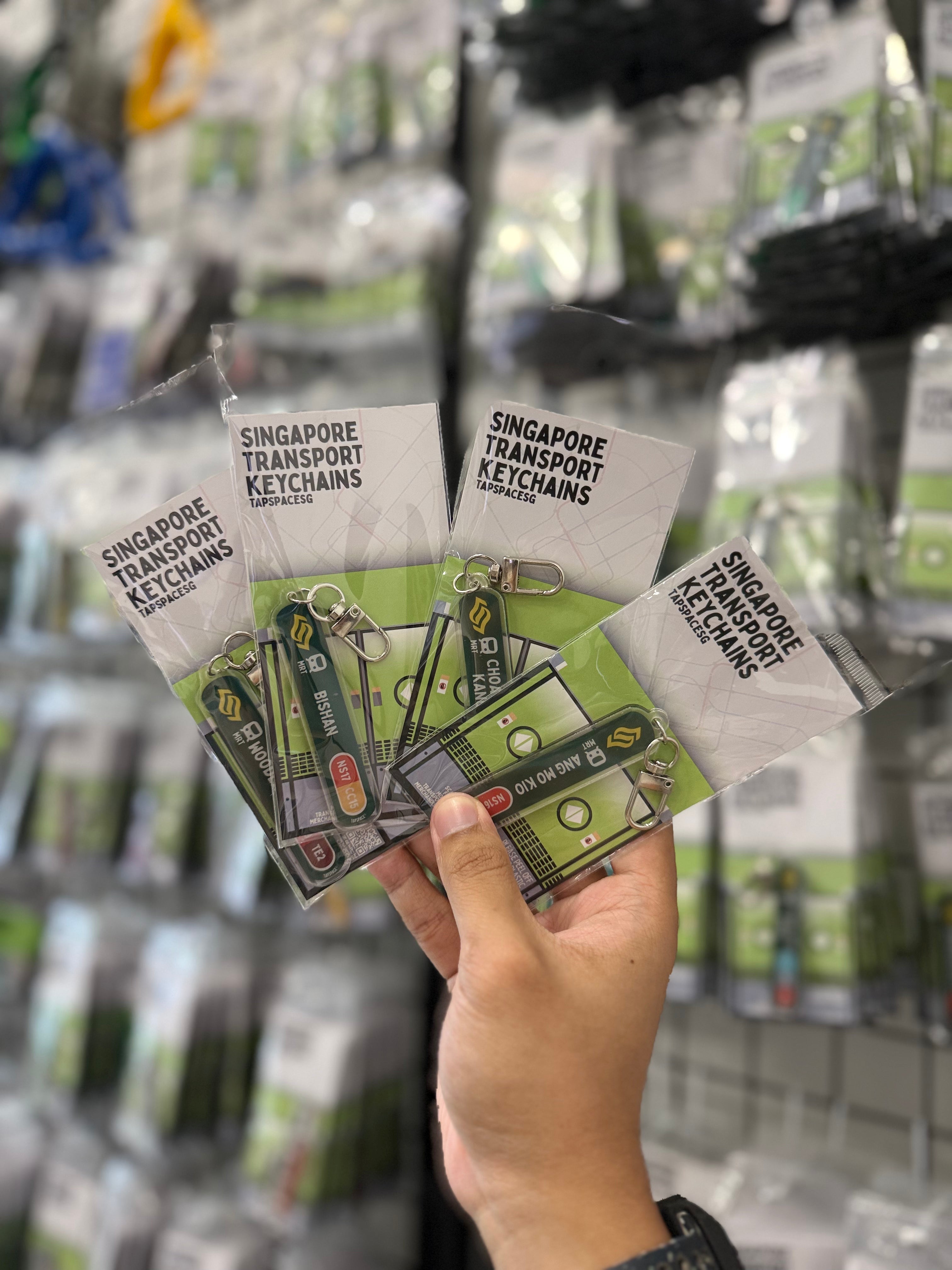 North-South (Red Line) MRT Keychain | Tap Space Singapore – Tap Space ...