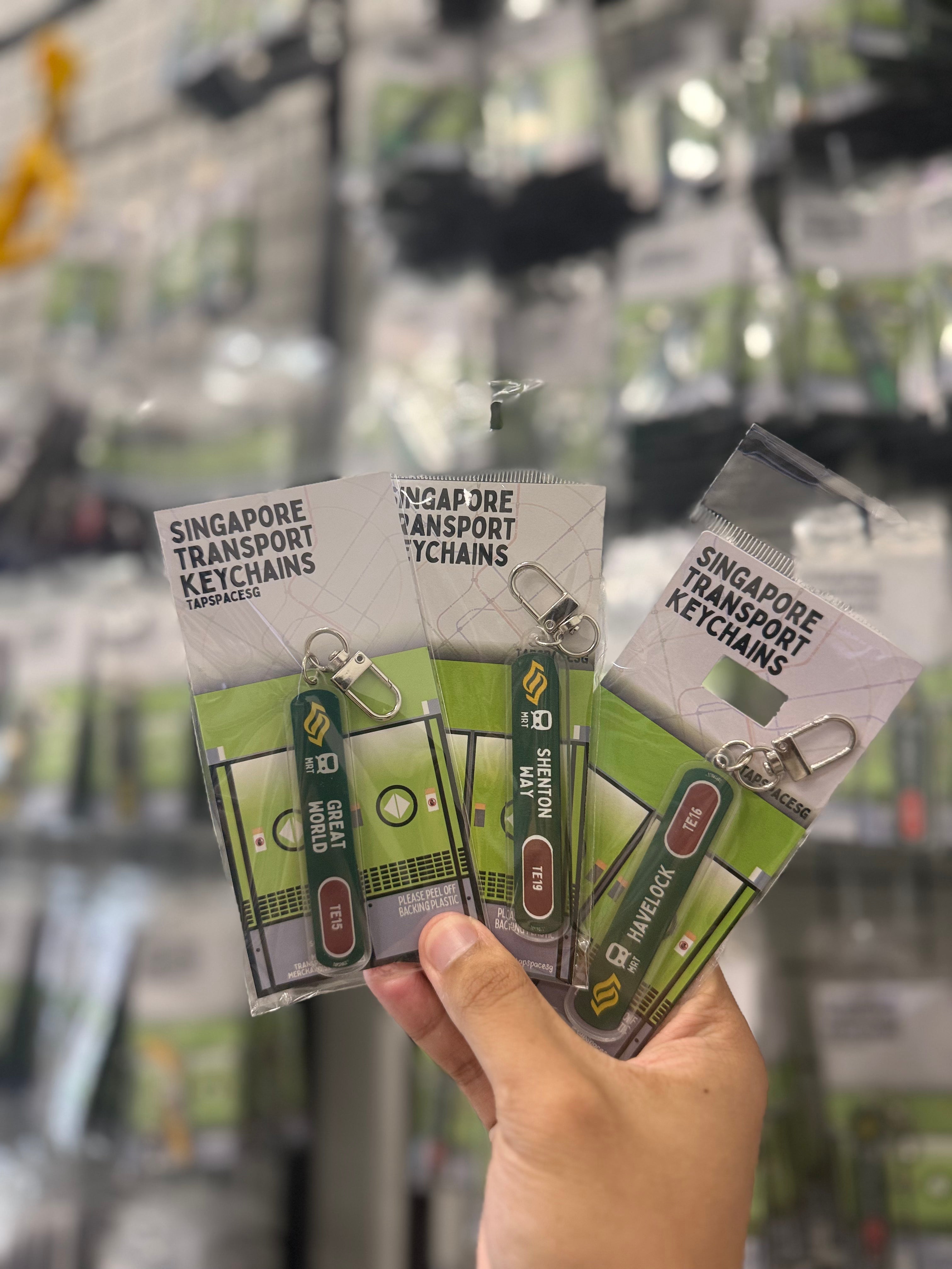 Thomson-East Coast (Brown Line) MRT Keychain | Tap Space Singapore ...